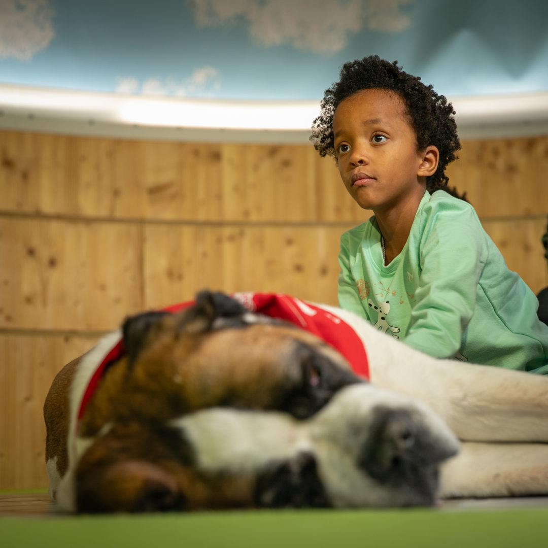 Ziva rencontre Alicia & Shana - Fondation Barry du Grand-Saint-Bernard