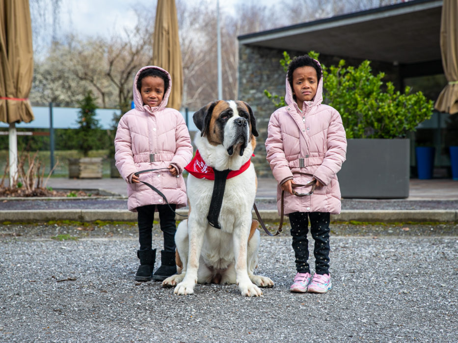 Ziva rencontre Alicia & Shana - Fondation Barry du Grand-Saint-Bernard