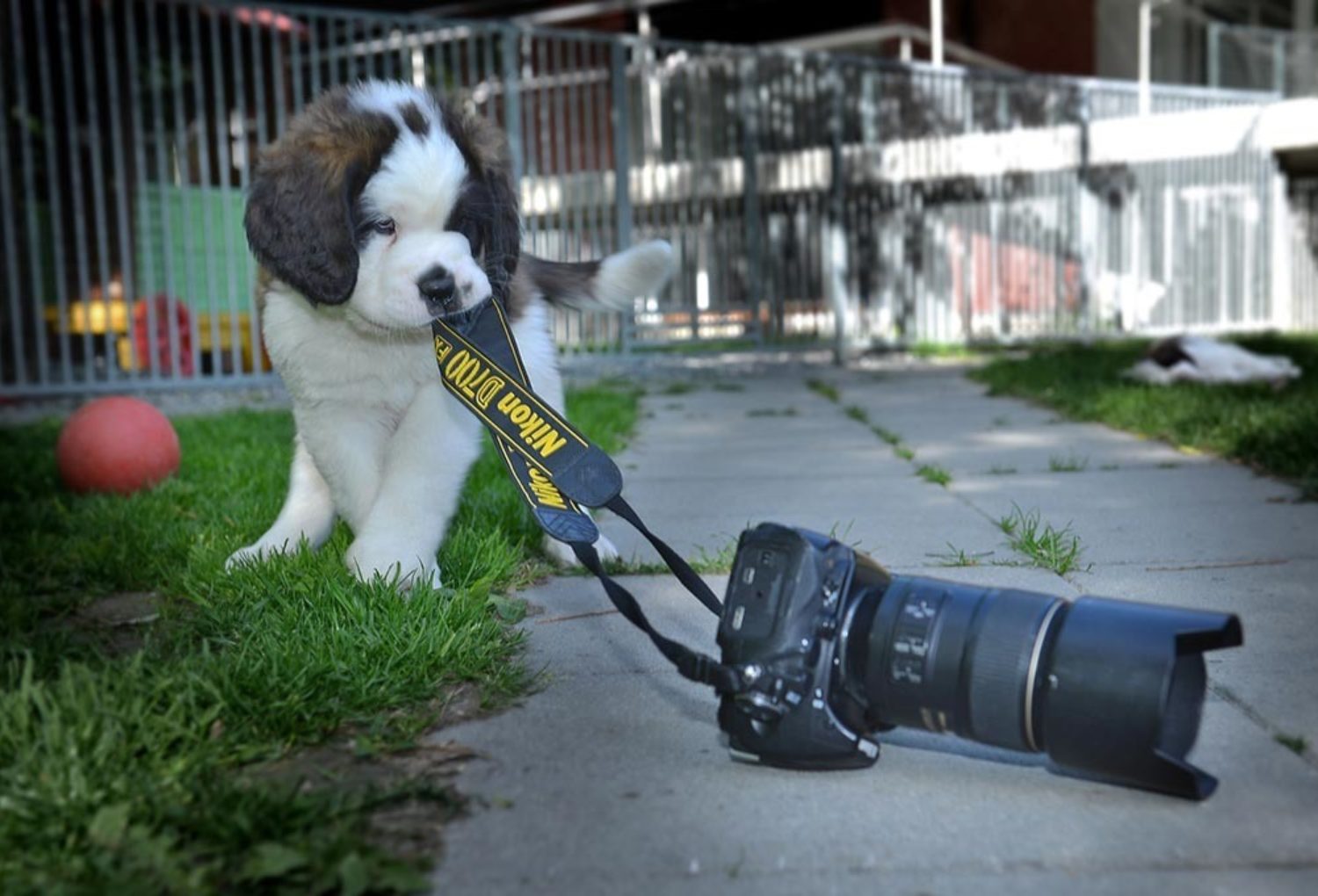 Press releases - Media - Fondation Barry