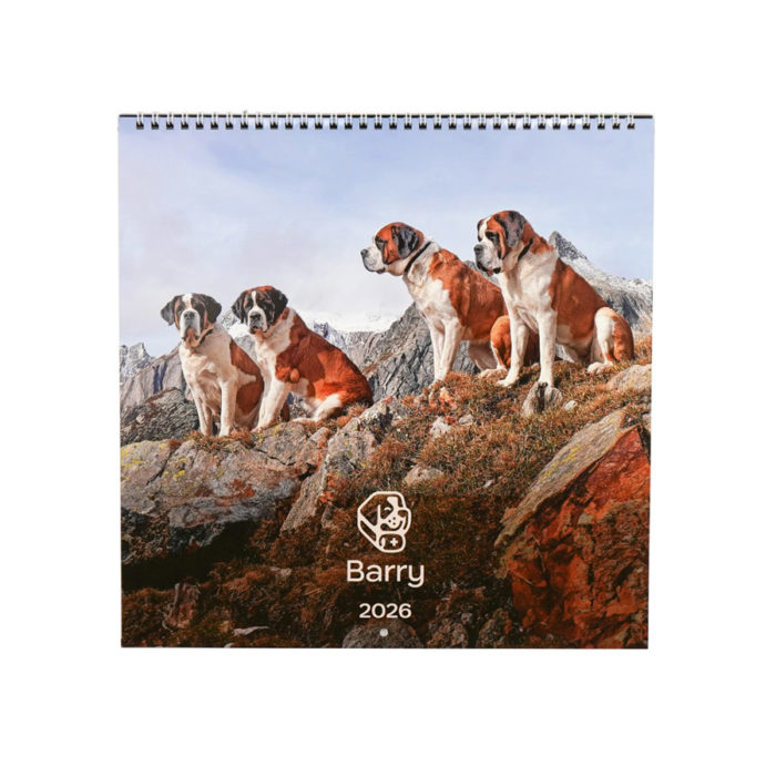 Fondation Barry du Grand-Saint-Bernard