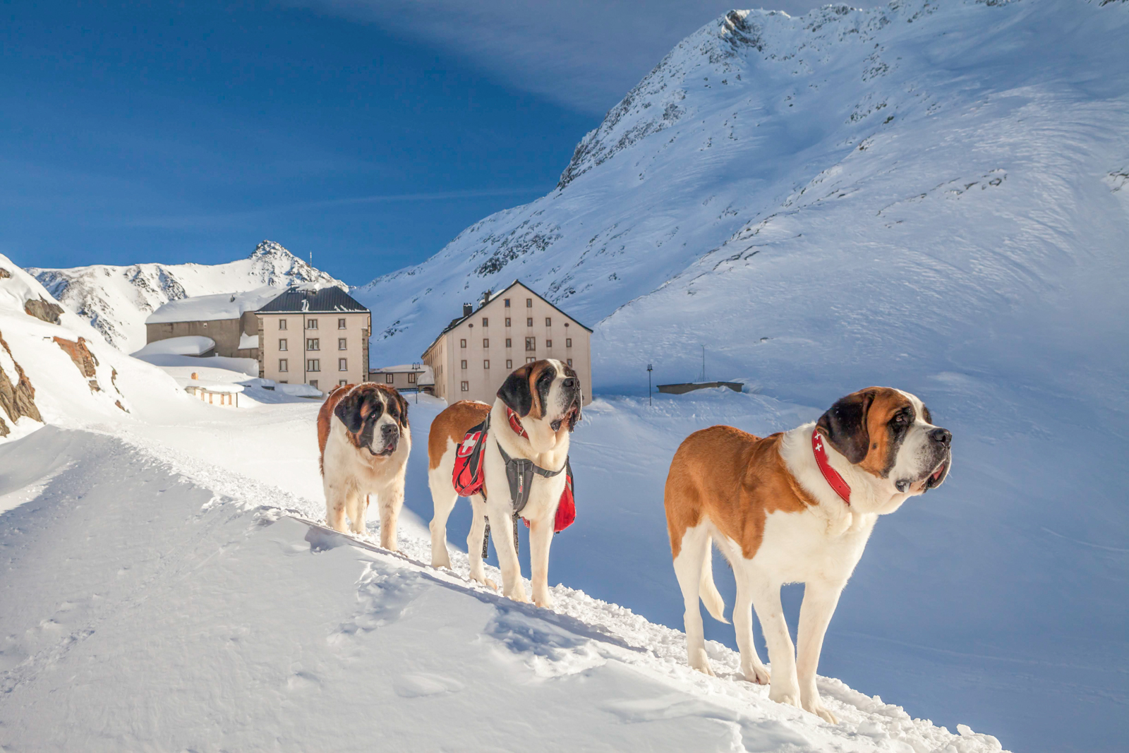 Fondation Barry : appel à mettre en valeur 20 ans de passion ...
