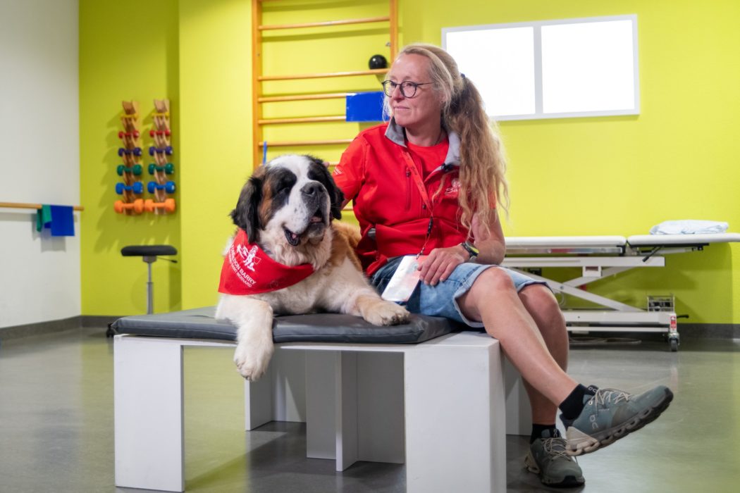 Alpine Dream Alba - Our dogs - Fondation Barry