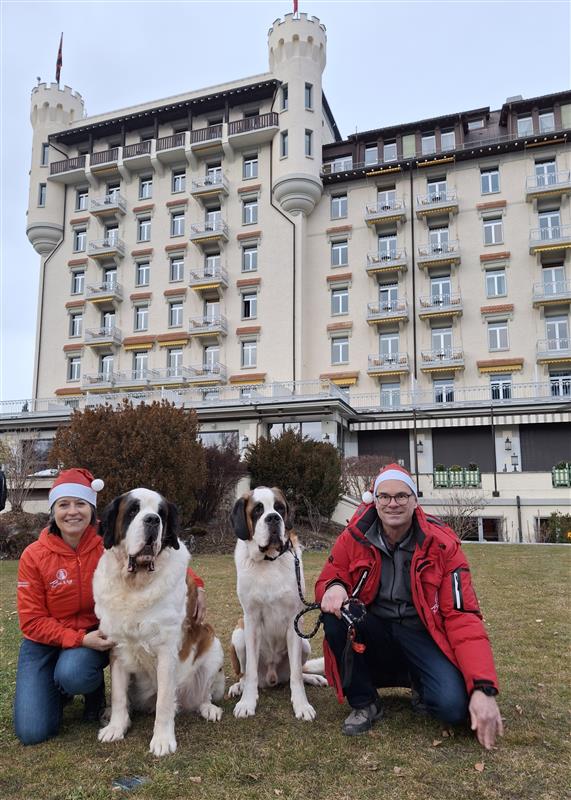 Tutto ciò che si attribuisce ai nostri San Bernardo - News - Fondation ...