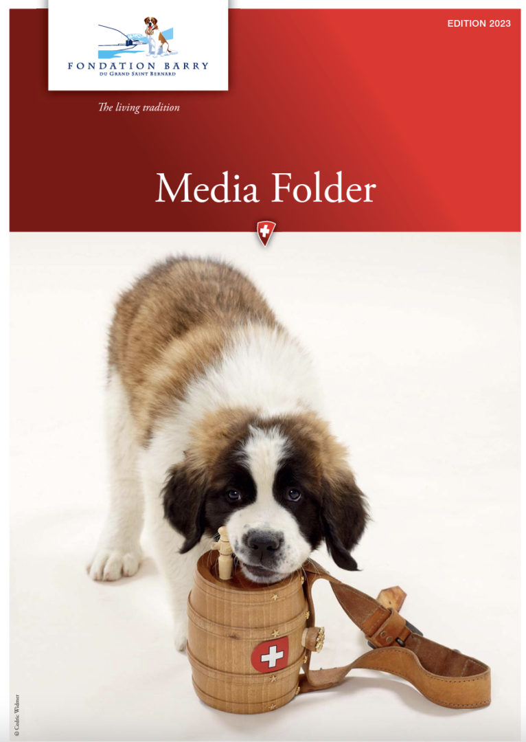 Media folder - Media - Fondation Barry